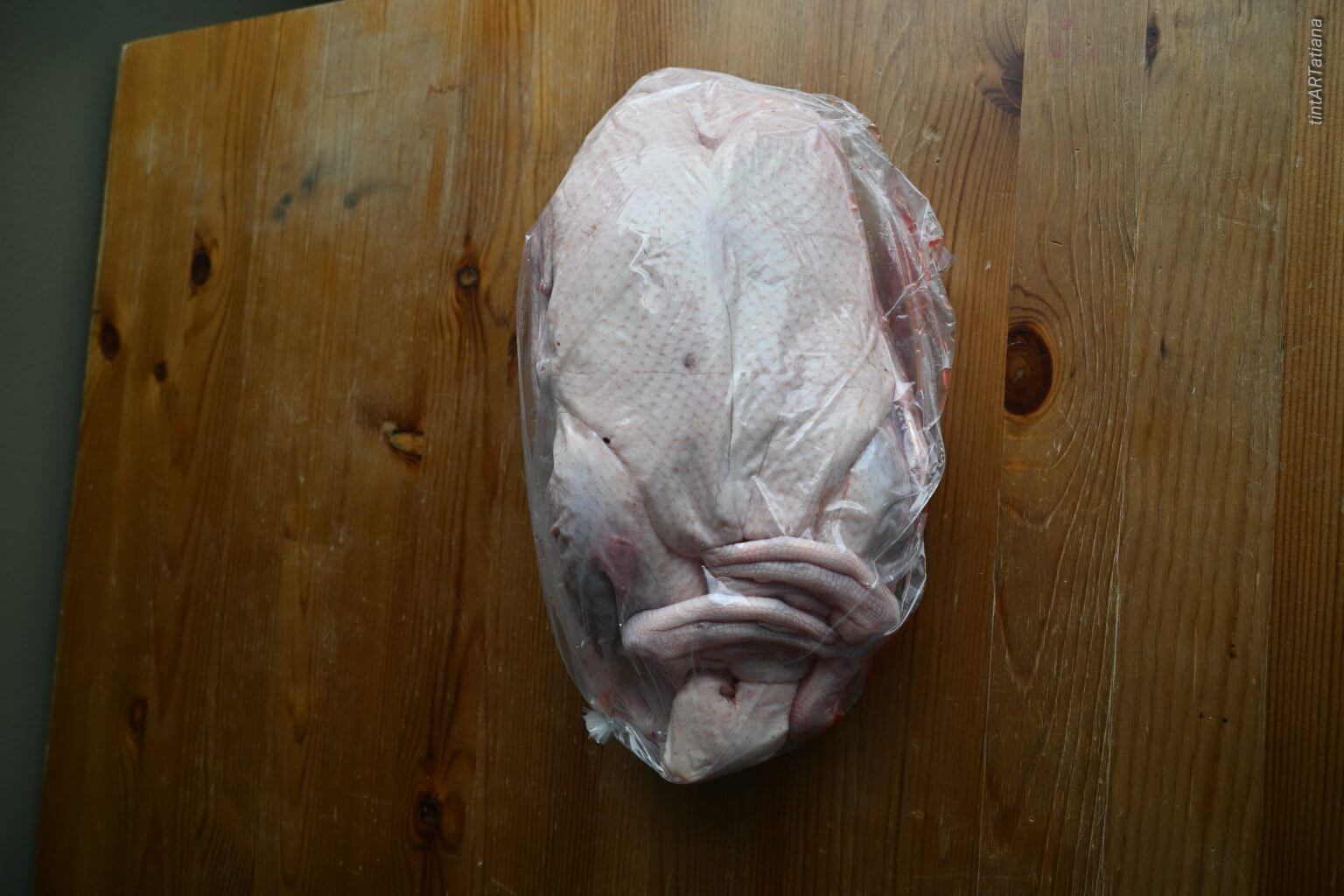 Duck – Natura Corner